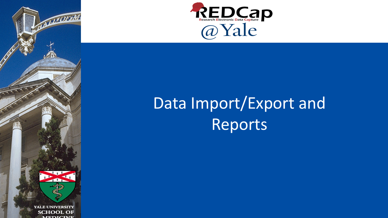Import/Export & Reports | REDCap